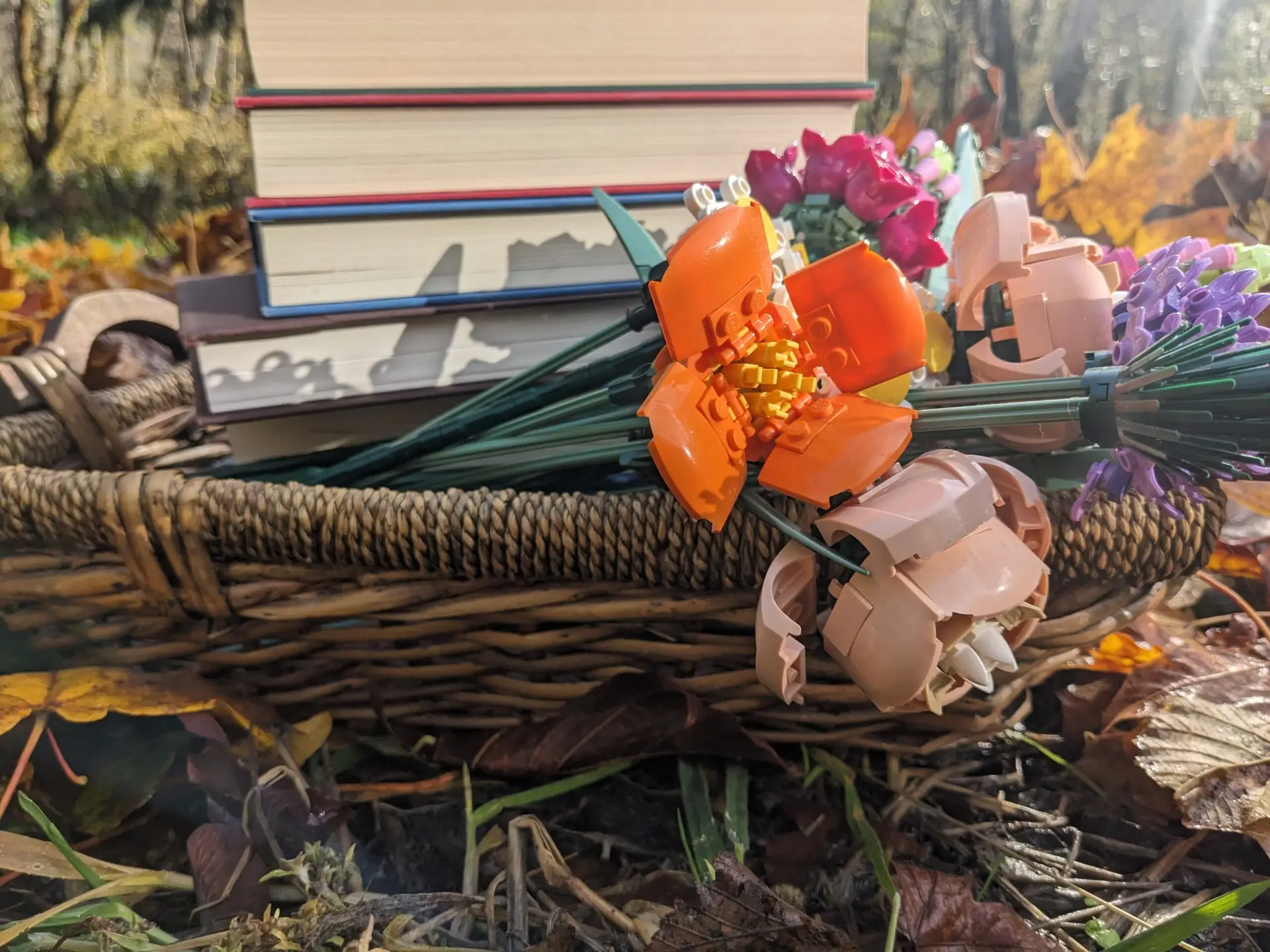 Editorial Assessment - Revision Muse